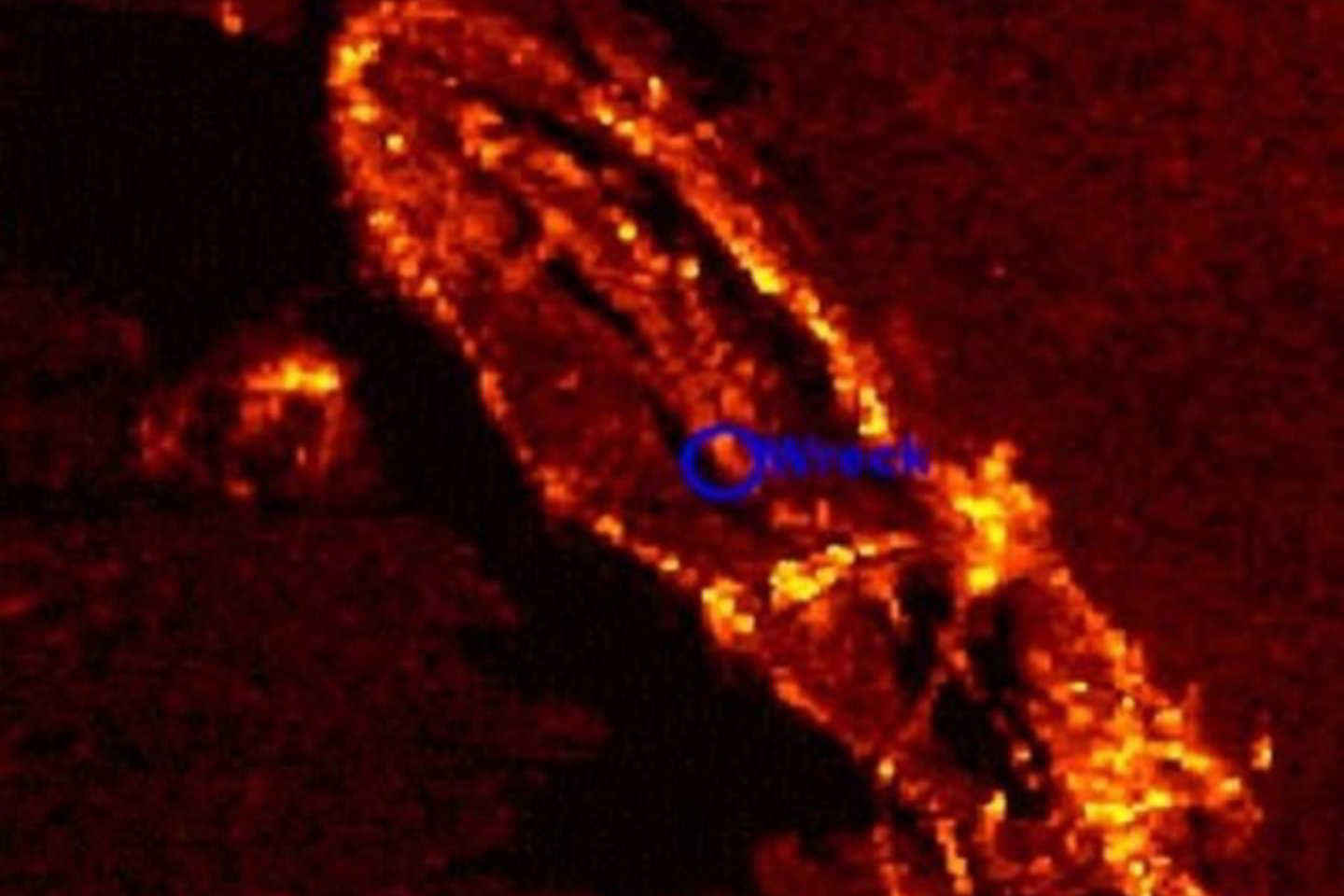 Netoli Gotlando salos aptiktas seniausias Baltijos jūroje nuskendęs ...