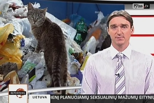 Paieška / Lrytas.tv
