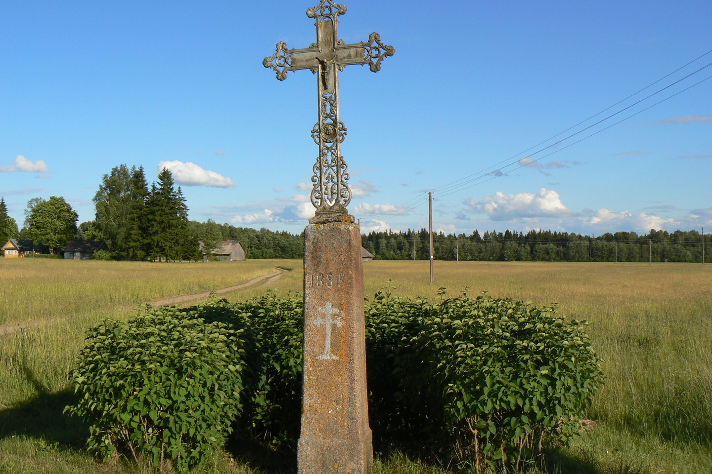 Vasarą asfalto vaikus viliojo ne tik jūra, bet ir kaimo žavesys