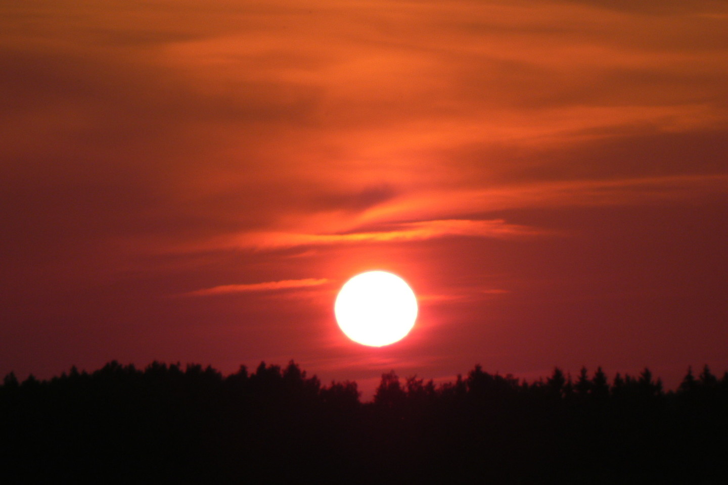 Vasarą asfalto vaikus viliojo ne tik jūra, bet ir kaimo žavesys