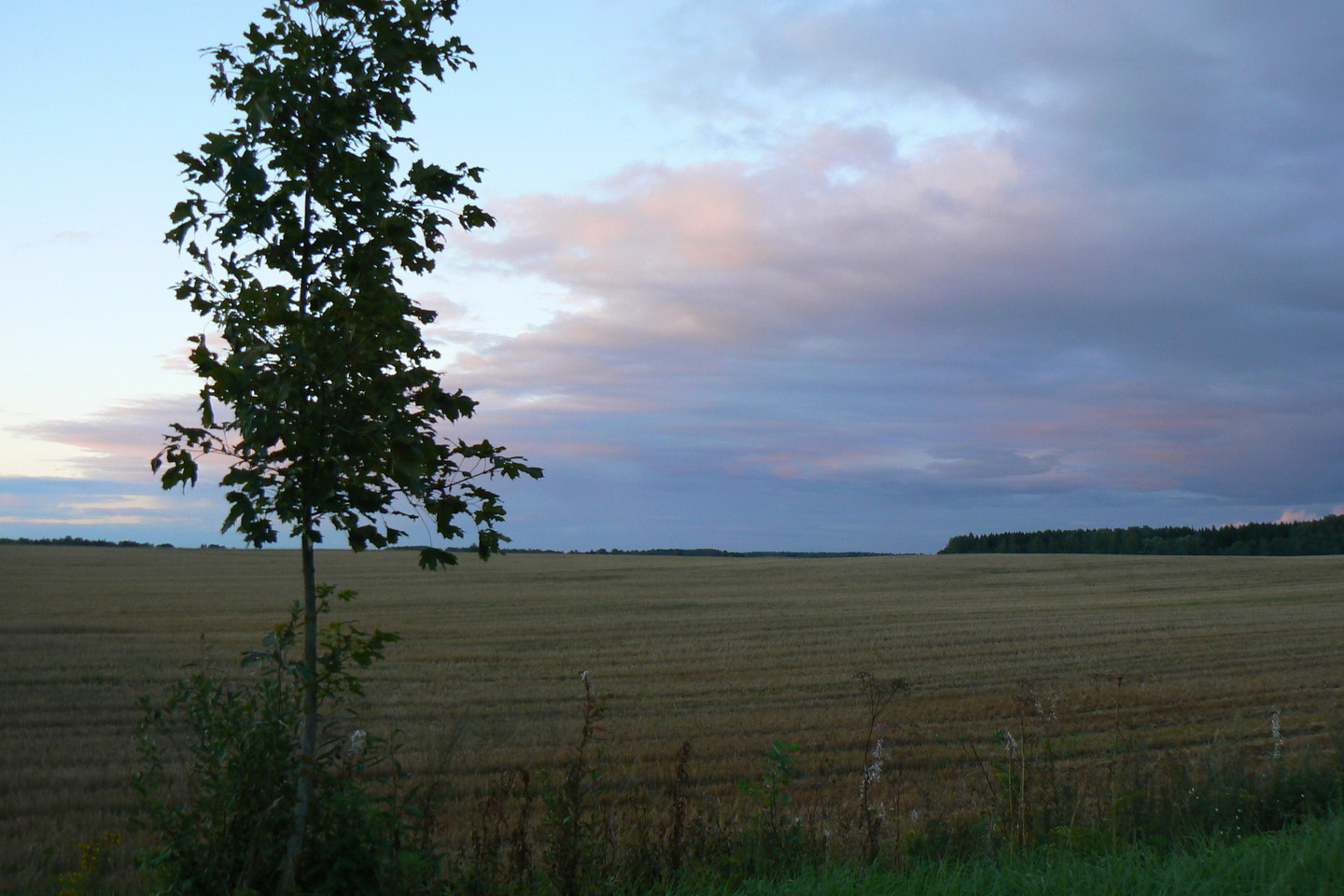 Vasarą asfalto vaikus viliojo ne tik jūra, bet ir kaimo žavesys