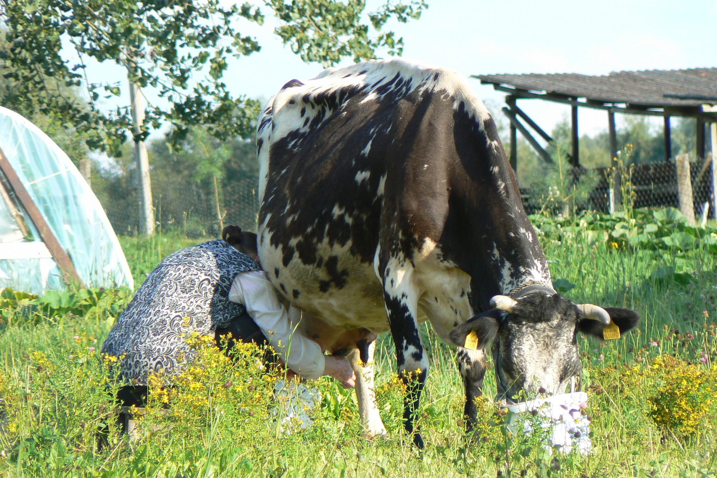 Vasarą asfalto vaikus viliojo ne tik jūra, bet ir kaimo žavesys