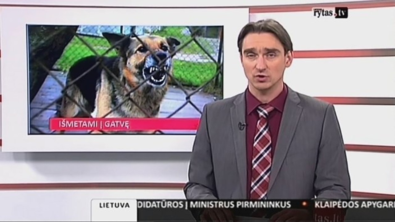 „Reporteris“: koviniai šunys masiškai išmetami į gatvę (II)