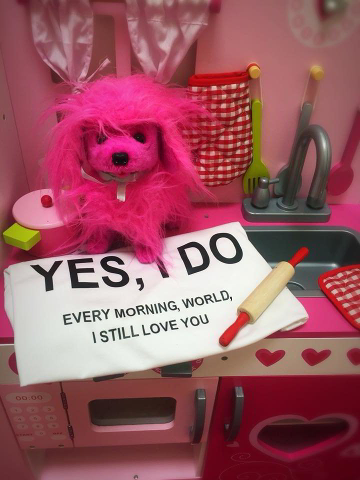 Rožinis pudelis šią savaitę aplojo M. Subelio svečius ir rado giminaitę ...