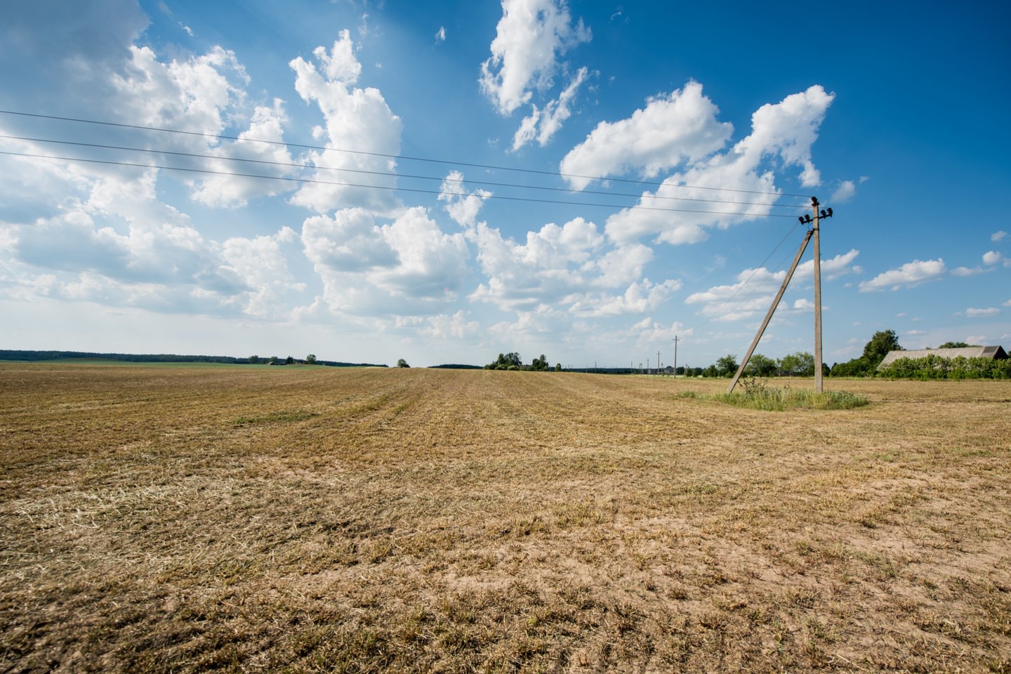 Klimatologas: dėl kritulių trūkumo Lietuvoje – pokyčiai dirvožemyje ...