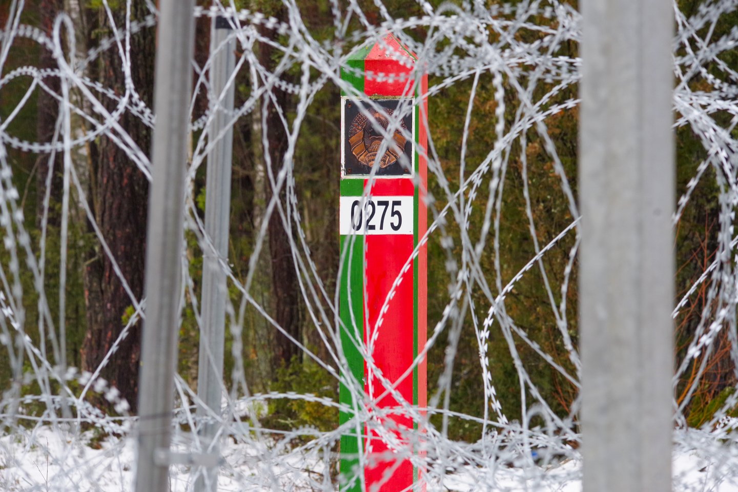 Į Baltarusiją apgręžtas 31 neteisėtas migrantas, pradėti du ...