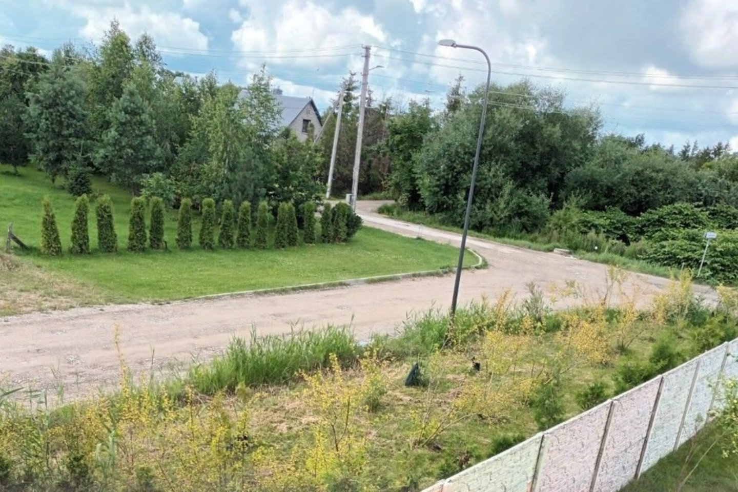 Lieka verkti iš bejėgiškumo: kaunietei šalia kelio puoselėtus želdinius ...