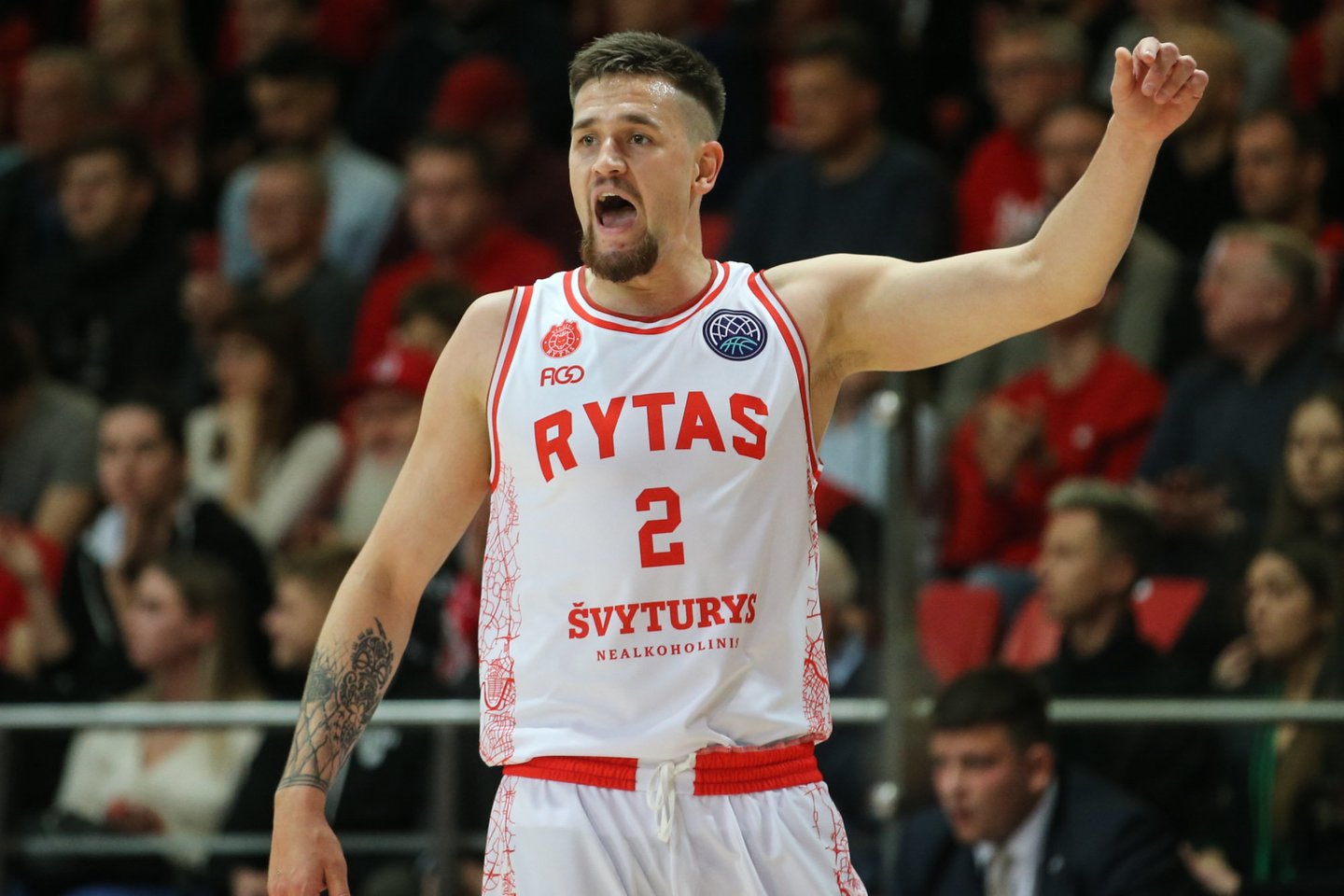 G. Žibėno pamokytas ir Vilniuje sutriuškintas V. Spanoulis sunkiai ...