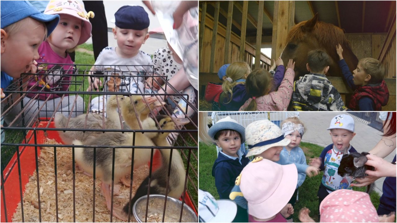 Įspūdinga programa mažiesiems: su gyvulininkyste supažindinami ne tik ...