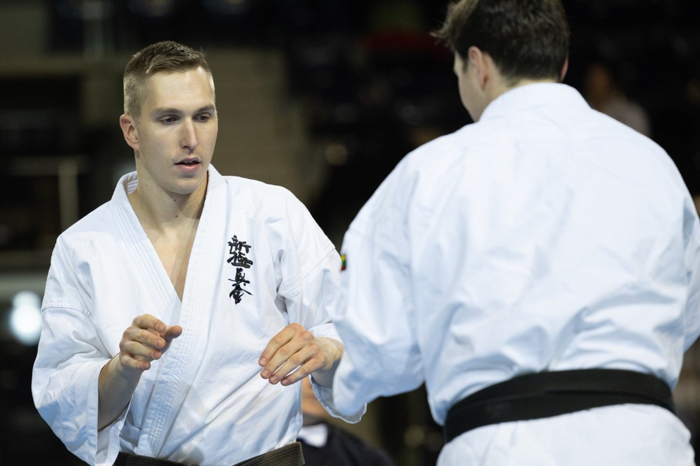 Lietuvos karatė čempionate Kėdainiuose – Europos čempionato finalų ...