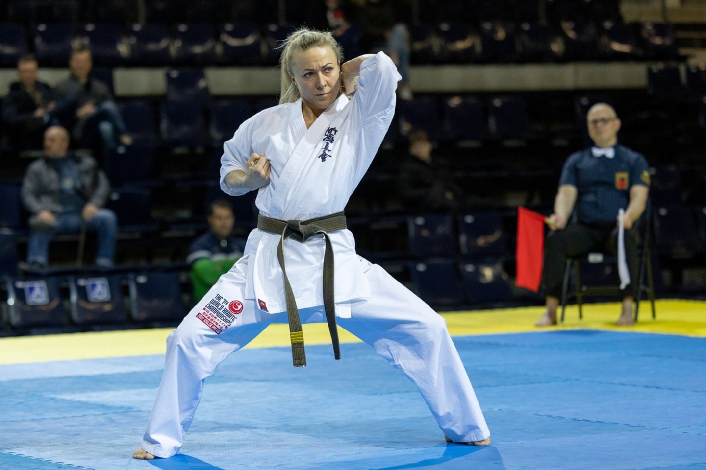 Lietuvos karatė čempionate Kėdainiuose – Europos čempionato finalų ...