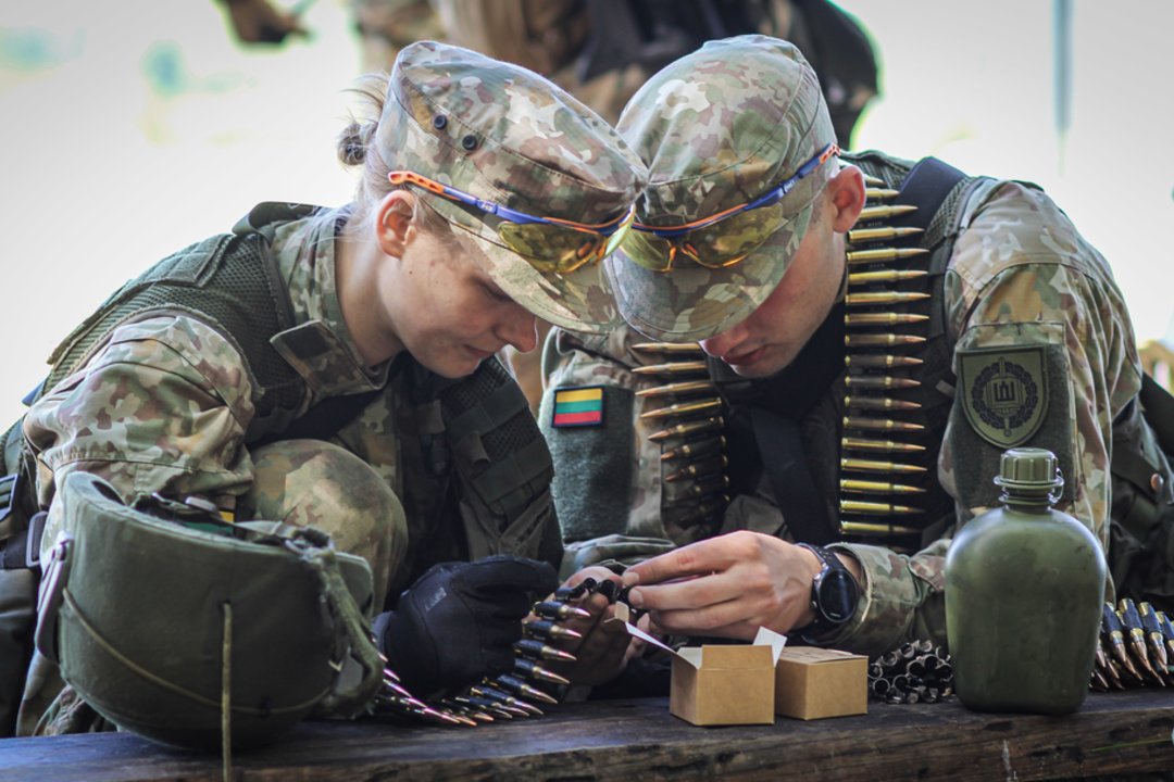 TS-LKD Presidium approves a plan to strengthen Lithuania's defence ...