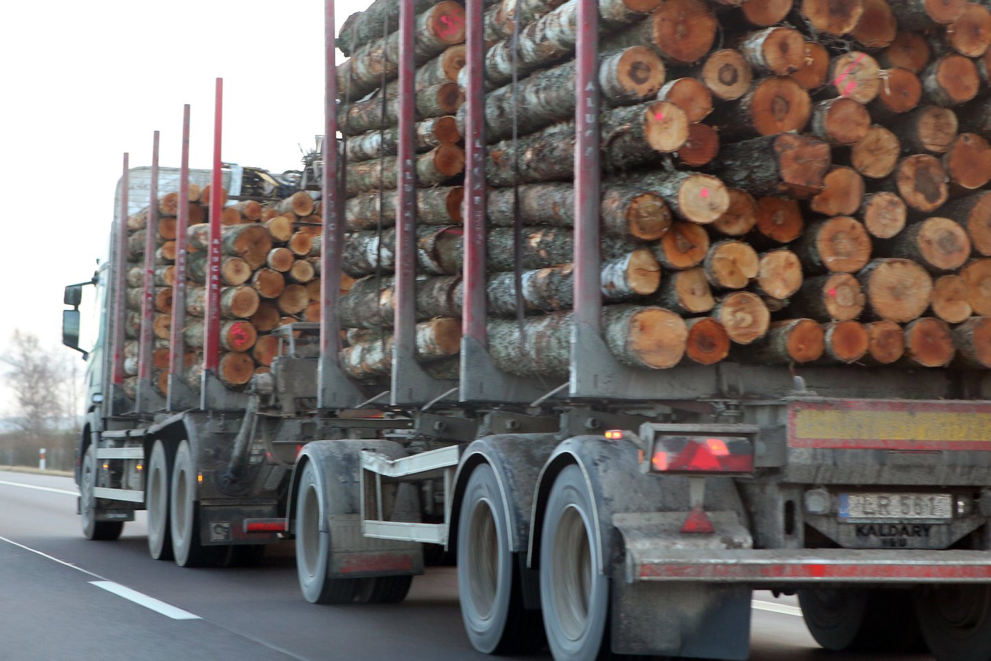 Here's how easy it is to circumvent sanctions: those caught openly said ...