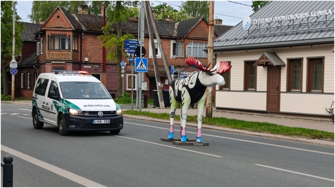 Užfiksavo naują vilniečių pasilinksminimo būdą: į važiuojamąją kelio ...