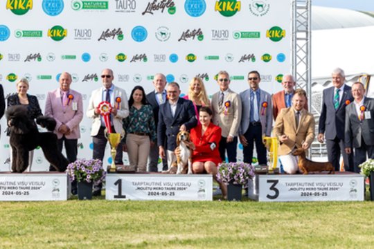 Lrytas.lt naujienos – sužinoti daugiau!