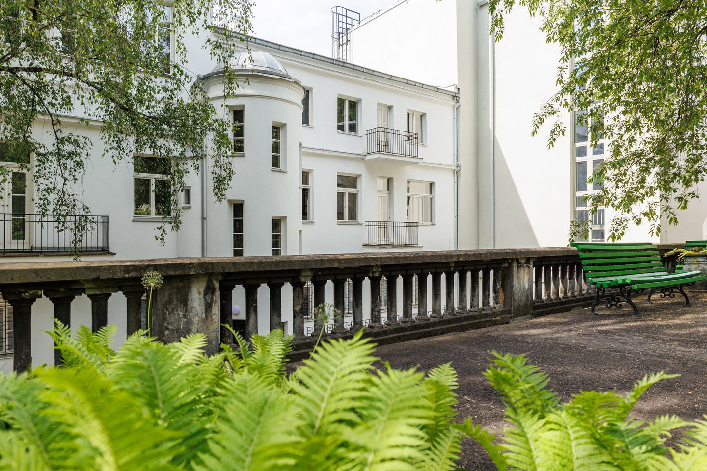 Kaune – rojaus sodas: jo šeimininkui siūlė sodinti, „kaip visi normalūs ...