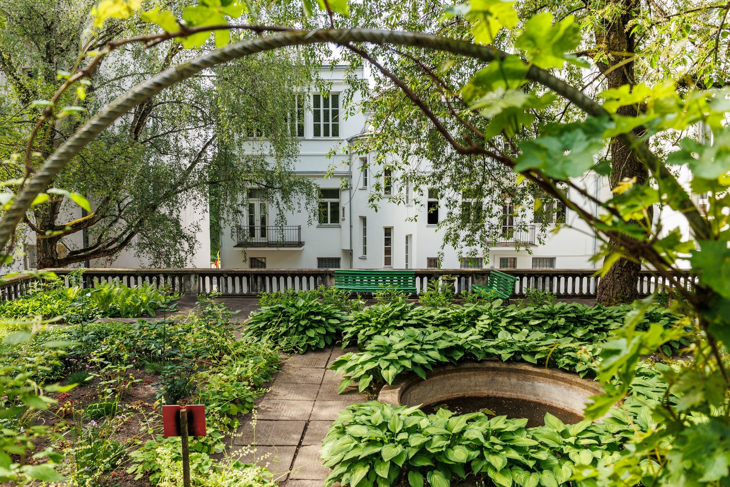 Kaune – rojaus sodas: jo šeimininkui siūlė sodinti, „kaip visi normalūs ...