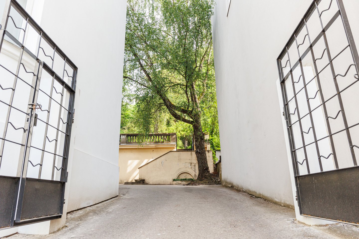 Kaune – rojaus sodas: jo šeimininkui siūlė sodinti, „kaip visi normalūs ...