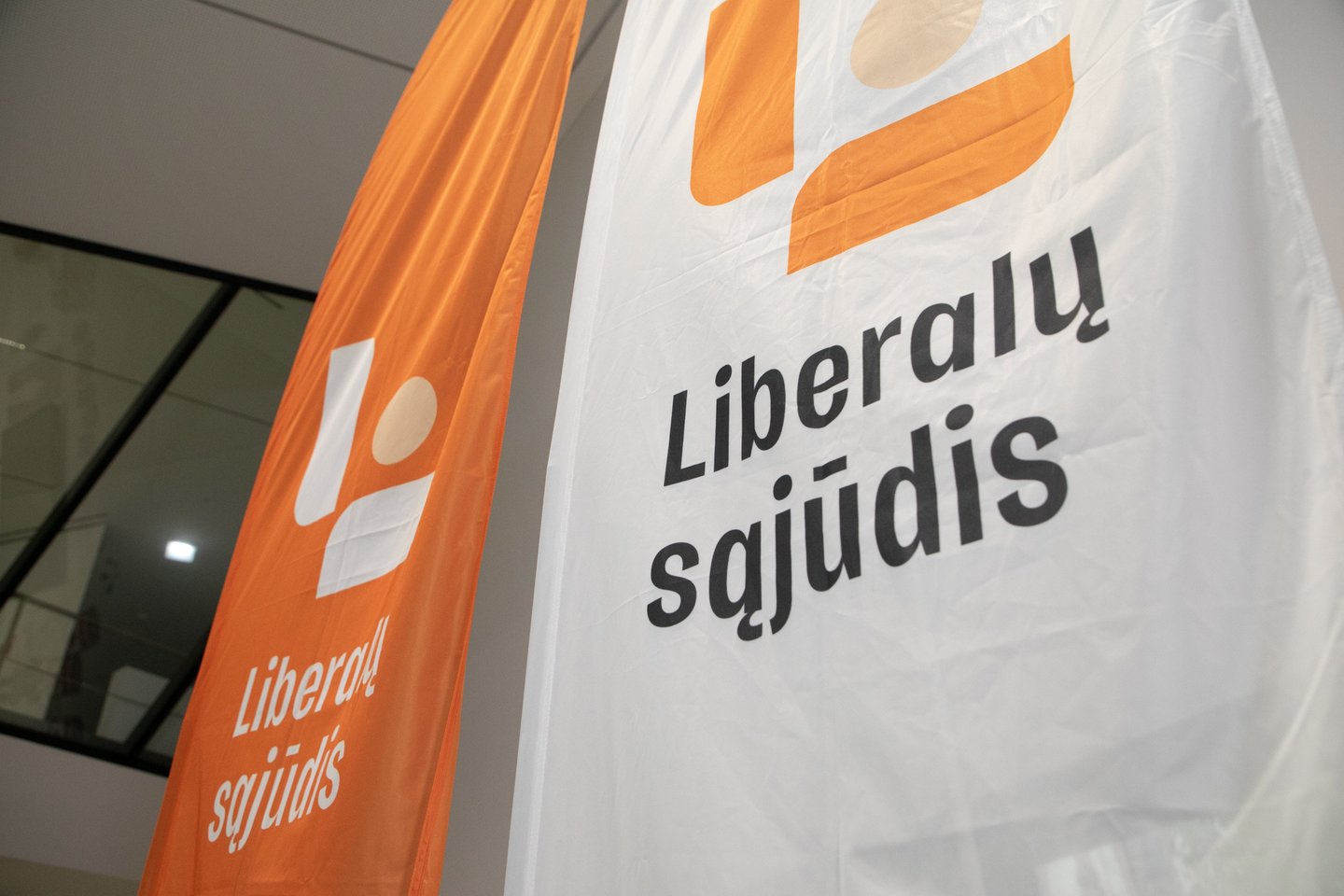 Liberalai patvirtino dalį vienmandatininkų, pasirengė sąrašo į Seimą ...