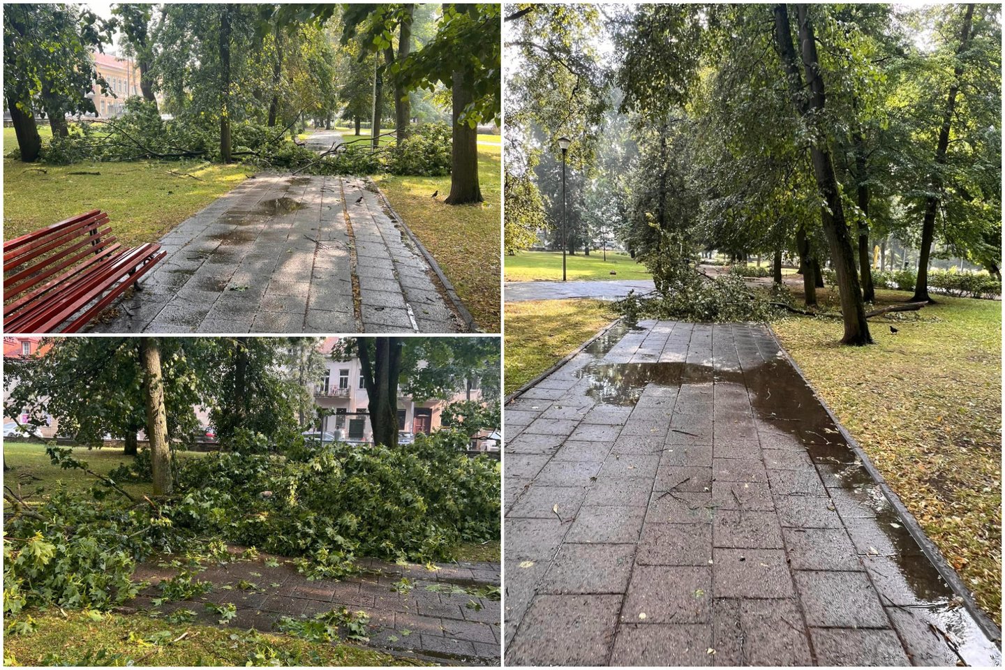 Nuo karščio atvėsino smarki liūtis ir vėjas: vietomis trumpa audra ...