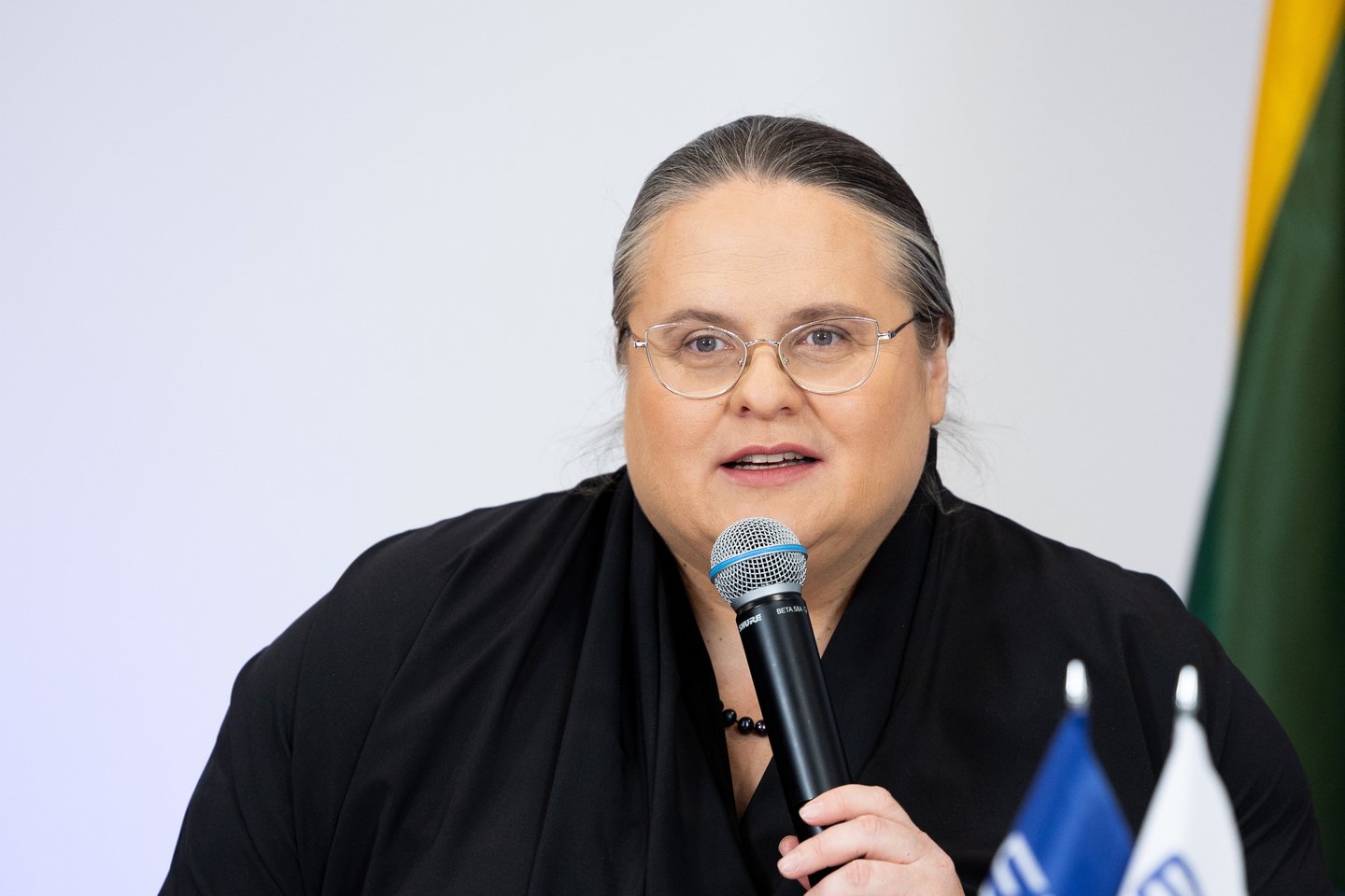 A. Širinskienė išdėstė 5 priežastis, kodėl koalicijoje tikrai nenori ...