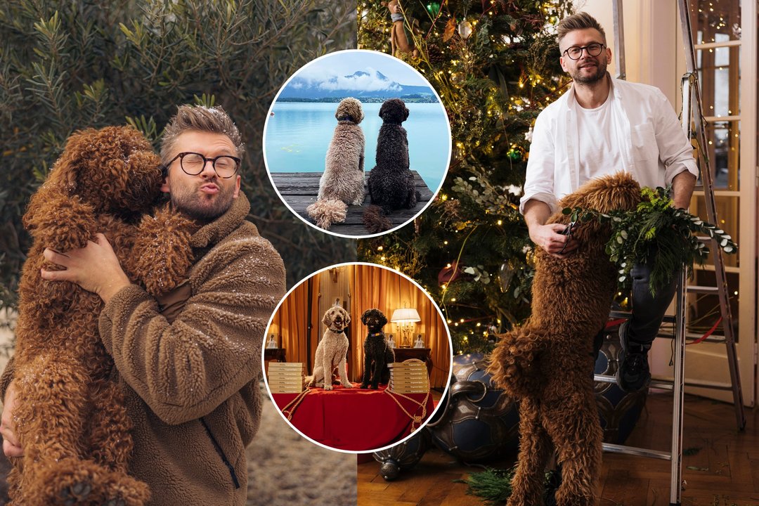Alfas Ivanauskas – apie meilę savo pudeliams: kartu vežasi į keliones, restoranus ir net SPA