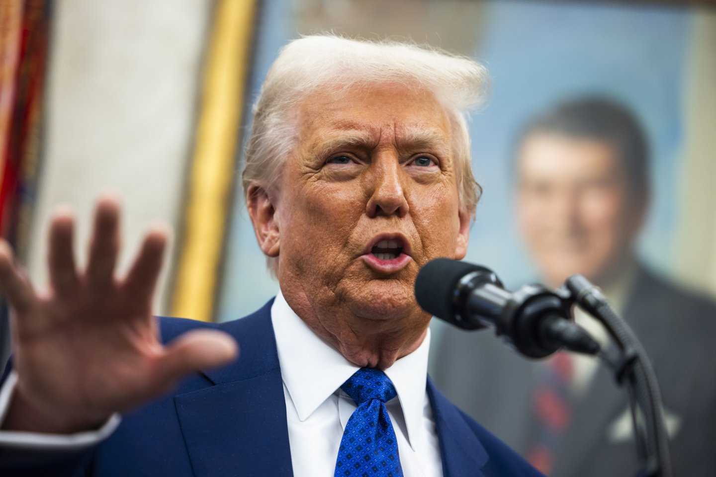 G. Paluckas nemano, kad D. Trumpo „abipusiai tarifai“ turės didesnį ...