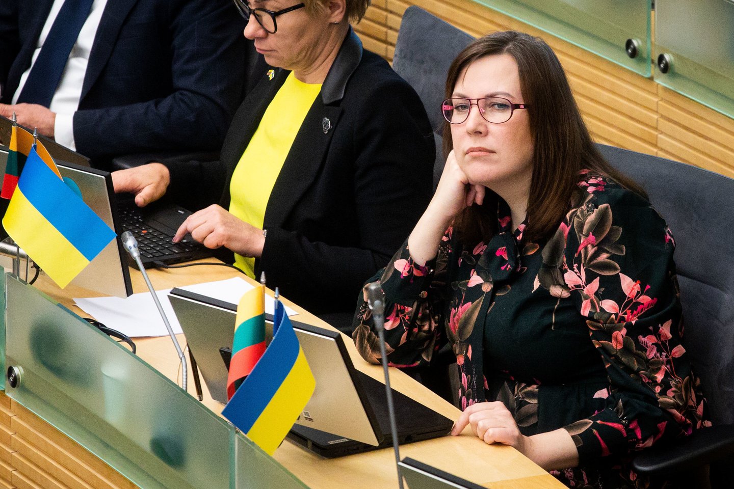Seimo narė J. Sejonienė papasakojo, kaip užkibo ant sukčių kabliuko ...