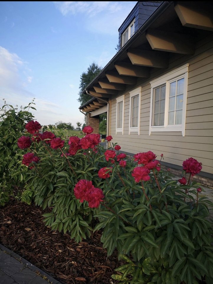 Šiai šeimai sukūrė ne vieną namą – bet Aukštaitijoje viskas buvo kitaip