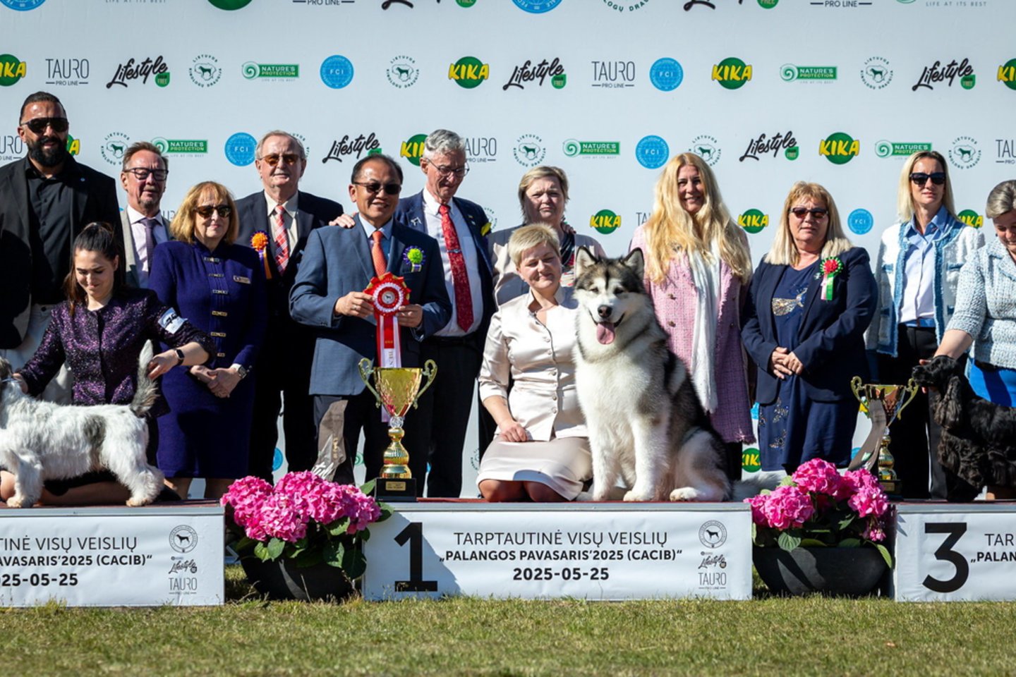 Tarptautinėje šunų parodoje pajūryje – Aliaskos malamuto iš Lietuvos ir ...