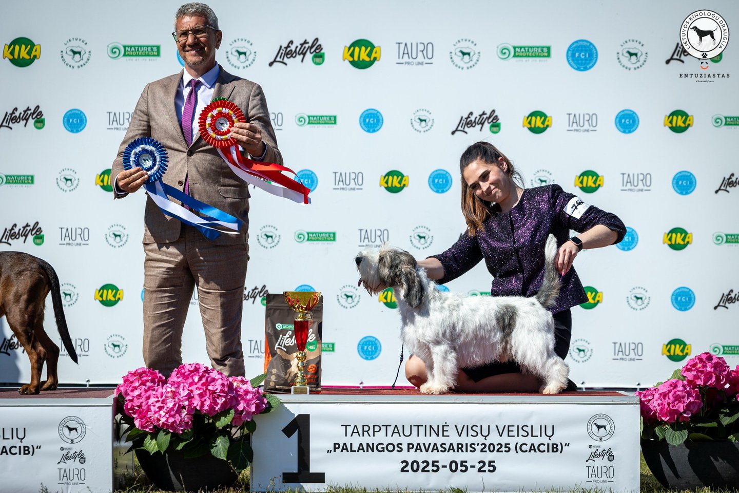 Tarptautinėje šunų parodoje pajūryje – Aliaskos malamuto iš Lietuvos ir ...