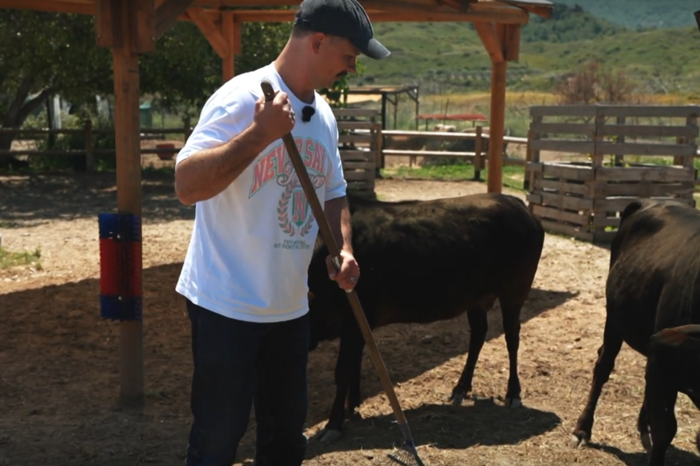 L. Pobedonoscevo savaitgalis Rodo saloje: privati vila su baseinu ir ...