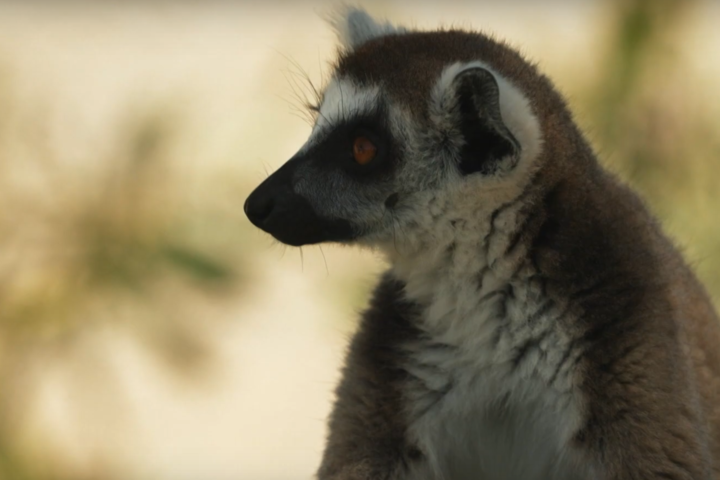 L. Pobedonoscevo savaitgalis Rodo saloje: privati vila su baseinu ir ...