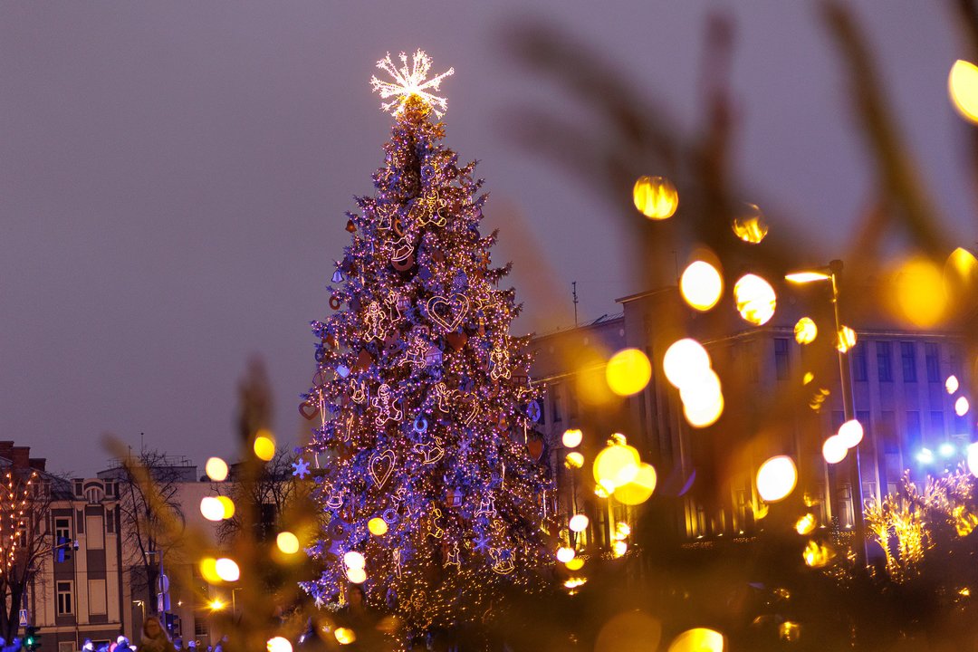 Karščiausios naujienos šiandien - Lrytas.lt