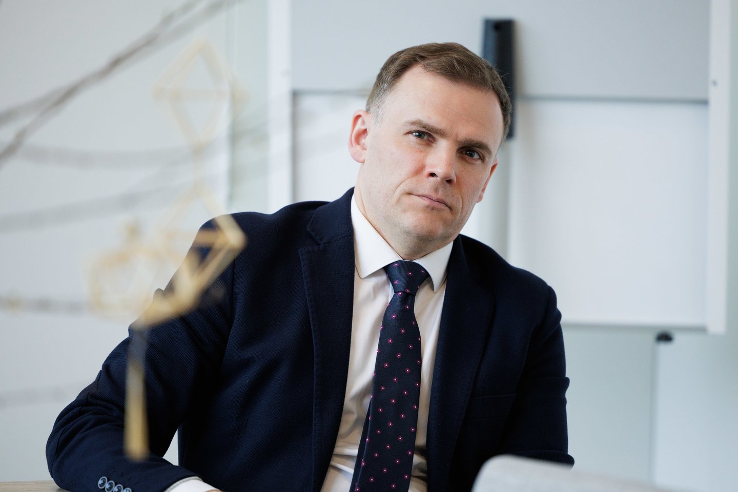 M. Lingė dėl ministerijos planų perimti atstovavimą Lietuvai tarptautinėse bylose kreipėsi į STT