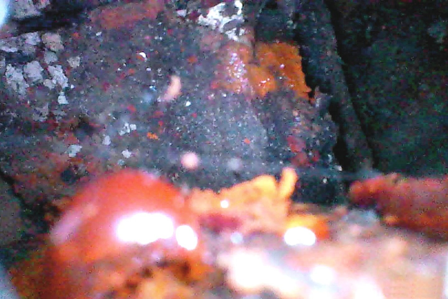 „Prieš valstybę įvyko sąmokslas“: valdovų lobį priglobusiai Bažnyčiai ...