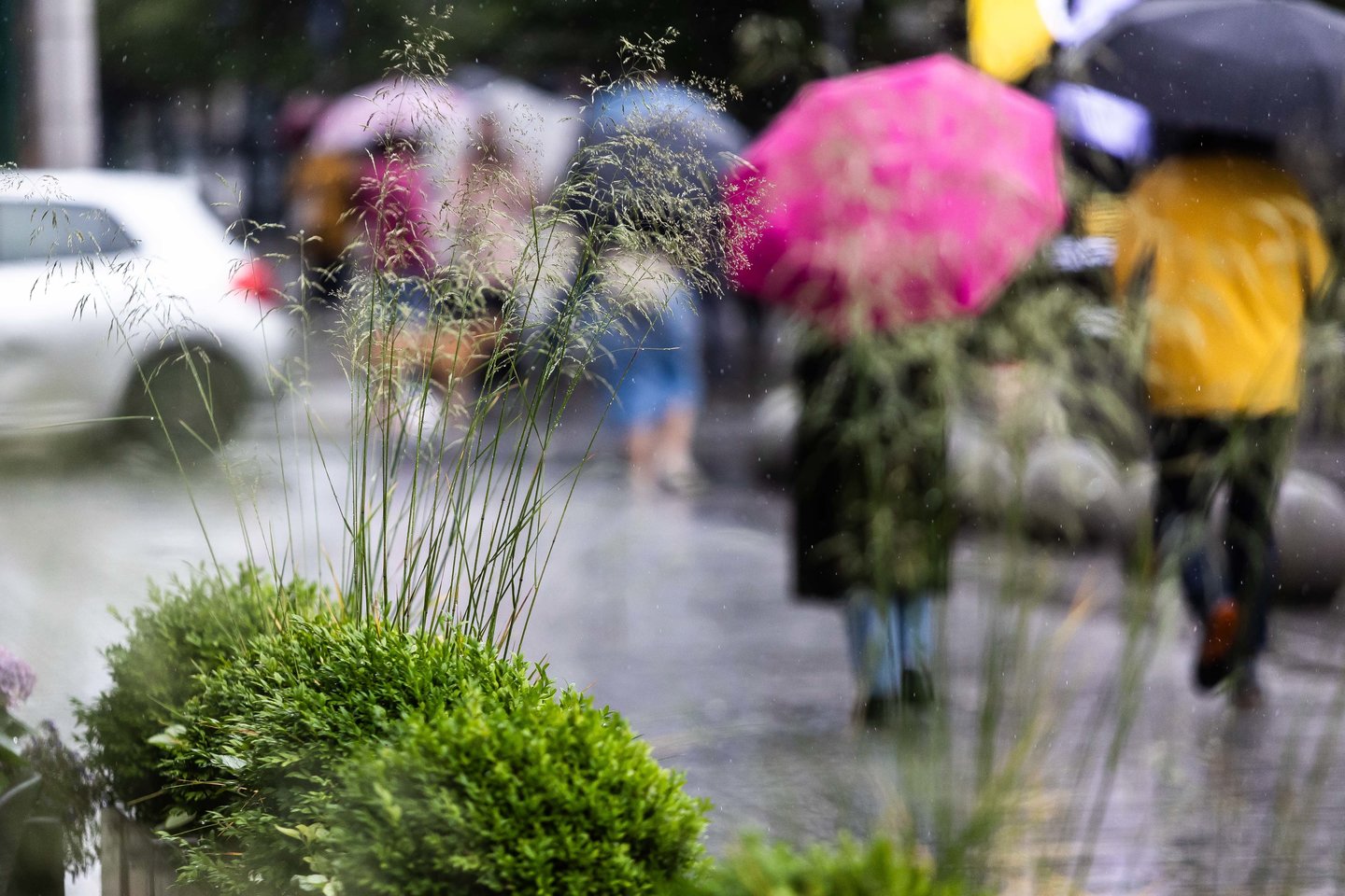 Sinoptikė perspėja apie laukiančius orus: gali užklysti audringas ciklonas