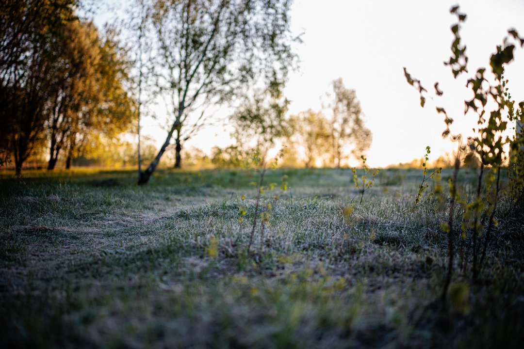 Orai šiandien, orų prognozė kas valandą - Lrytas