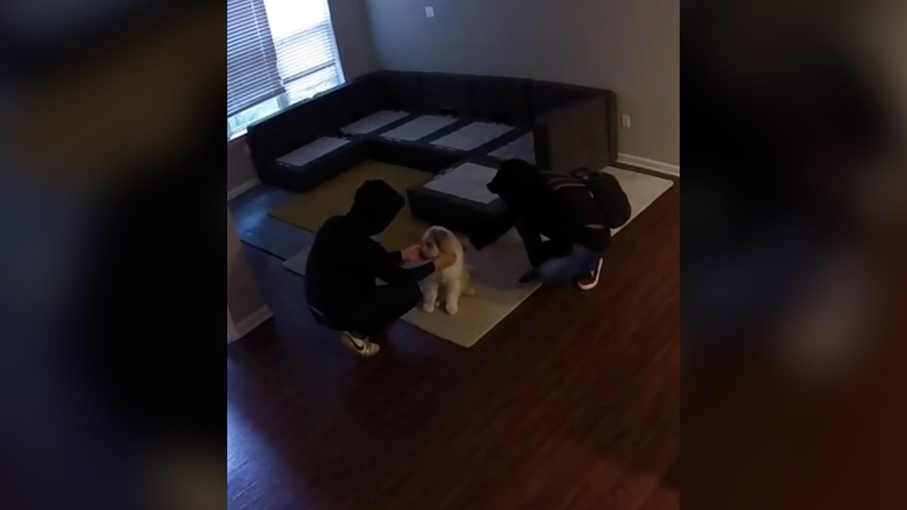 Užfiksuotos šmaikščios vagystės akimirkos: ilgapirščiai neatsispyrė ...