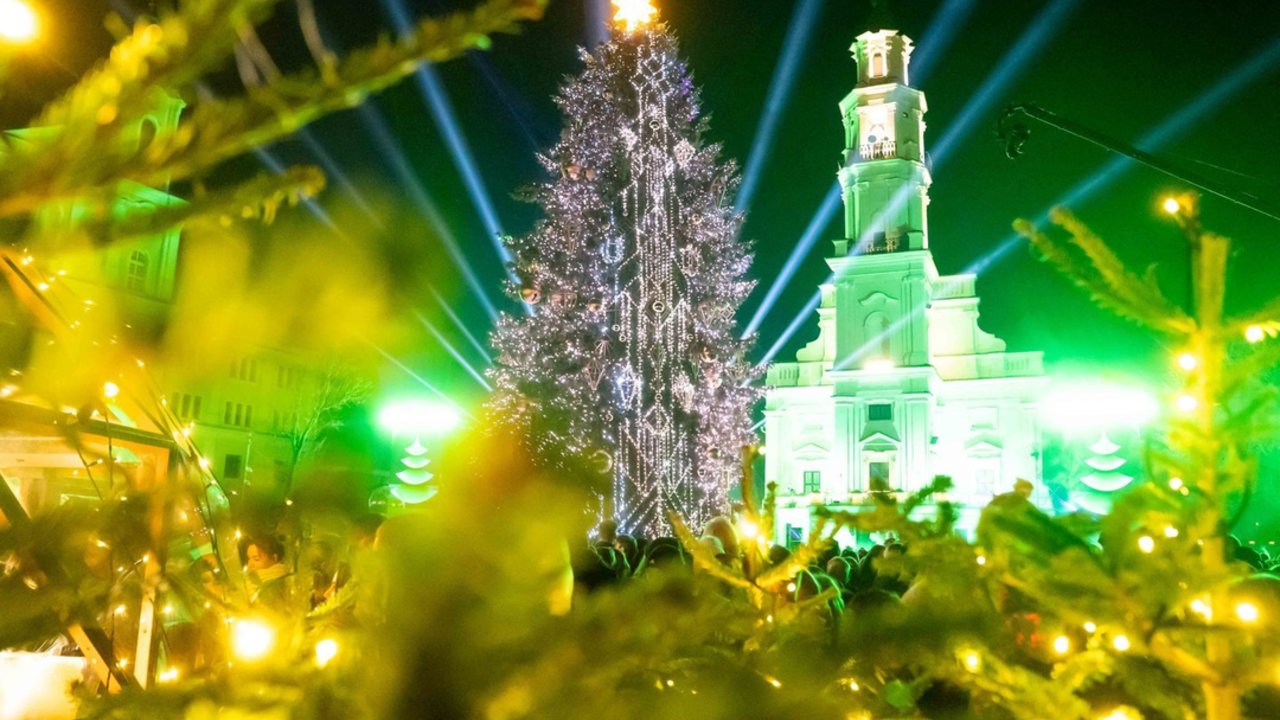 Nufilmavo, kaip įsižiebia Kauno Kalėdų eglė: parodė savo rūbą