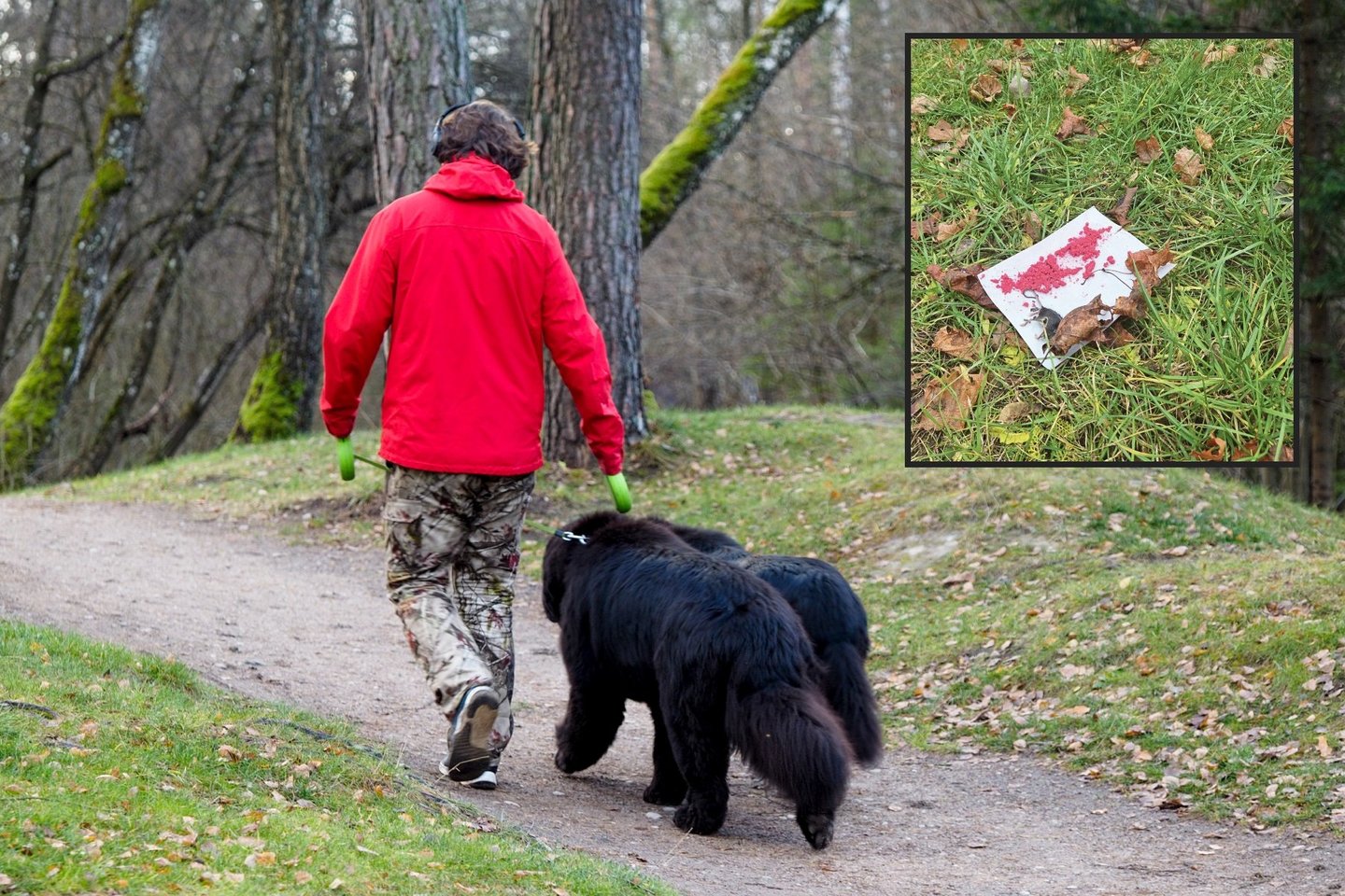 „Atsisėdau ant žolės ir ėmiau verkti“: po šiurpios patirties ...