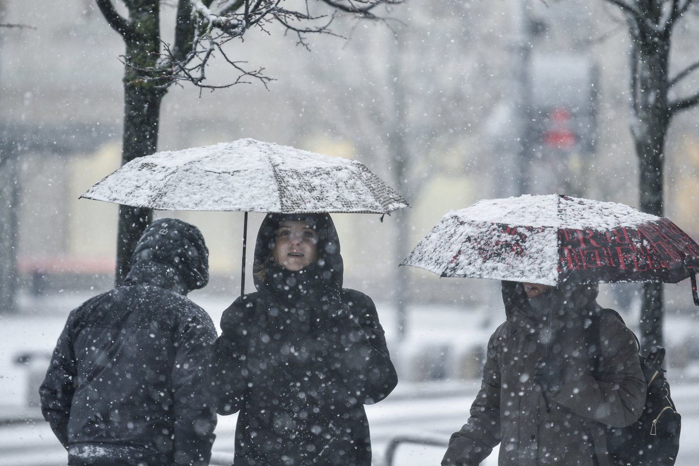 The first figures on second-tier money are becoming clear: the banking ...